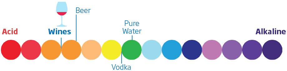 Guide to pH Analysis for Winemakers - Hanna Instruments Africa