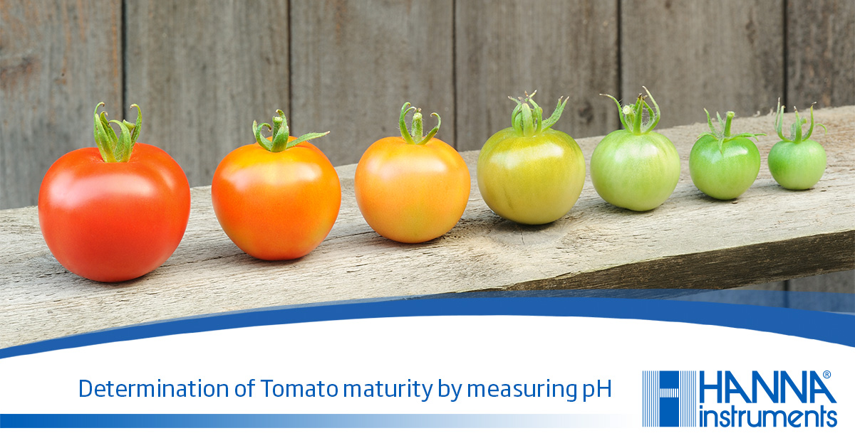 Determination of Tomato maturity by measuring pH - Hanna Instruments Africa